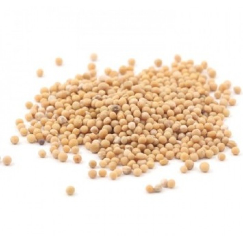 Graines de moutarde blanche (1 kg)